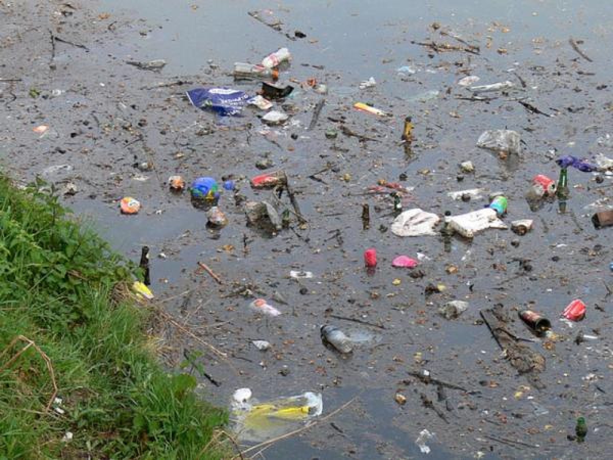 Causas De La Contaminación Del Agua Producidas Por Los Humanos